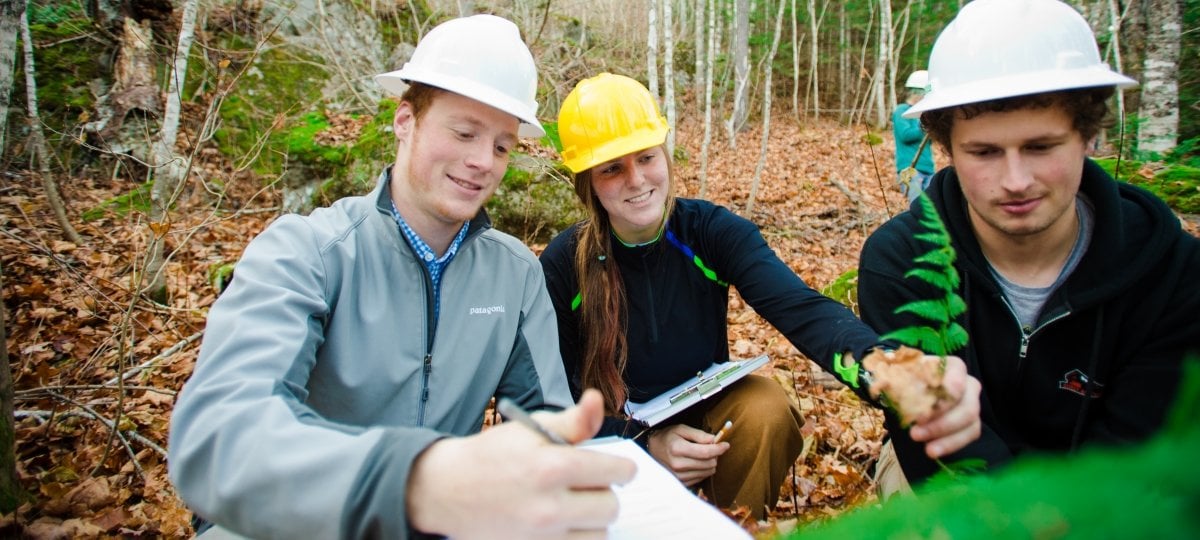 Wildlife Ecology and Conservation Major | Undergraduate Admissions