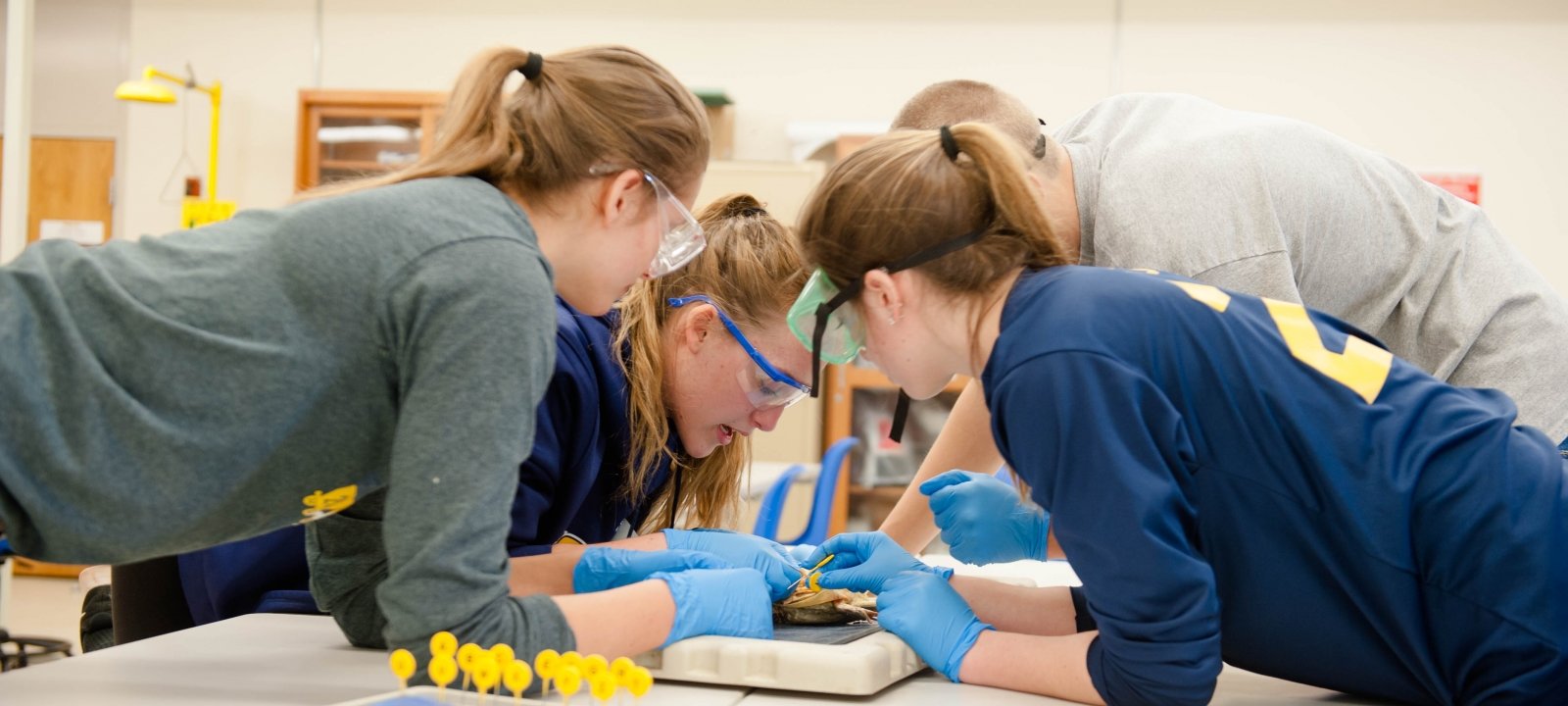 Dual Enrollment/PSEO Applicants | Undergraduate Admissions