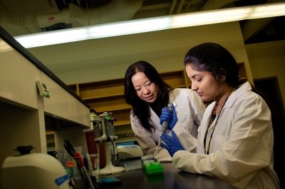 Undergraduate Admissions | Michigan Technological University