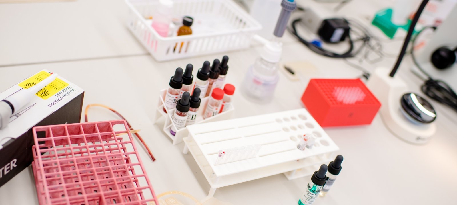 What is Medical Laboratory Science? | Biological Sciences | Michigan Tech