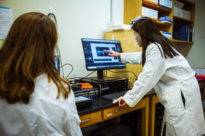 Department of Biomedical Engineering