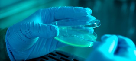 Biomedical Engineering | Michigan Tech