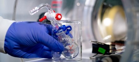 Tissue Engineering and Biomaterials | Biomedical Engineering