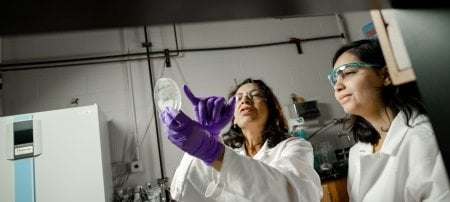 What is Biochemistry? | Chemistry | Michigan Tech