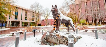 Minors | College of Computing | Michigan Tech