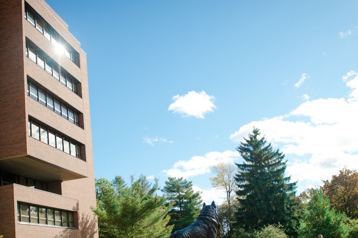 Department of Electrical and Computer Engineering | Michigan ...