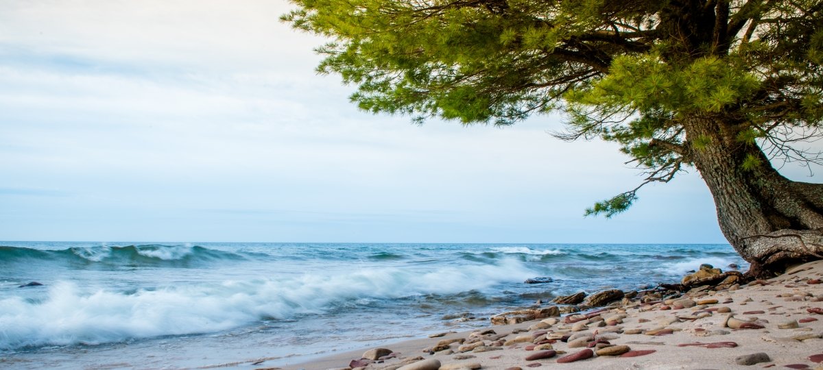 News and Events | Ecosystem Science Center | Michigan Tech