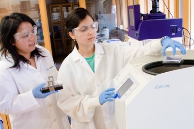 College of Forest Resources and Environmental Science