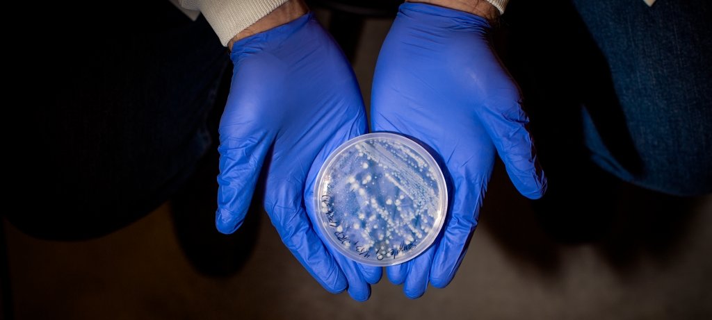 Biochemistry and Molecular Biology—PhD | Graduate School | Michigan ...