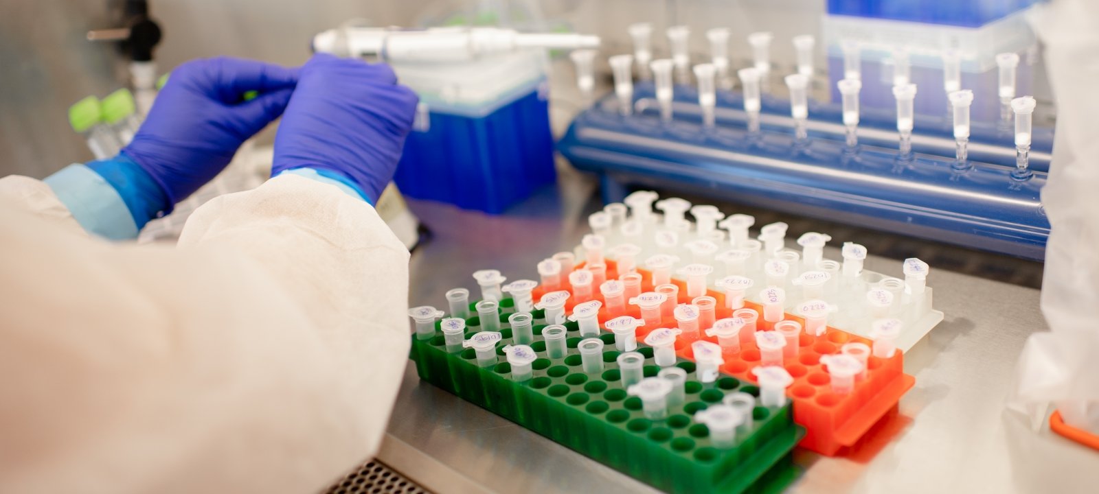 Environmental and Public Health | Health Research Institute | Michigan Tech