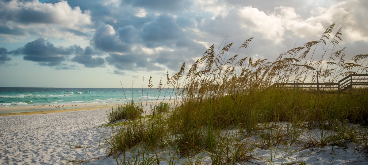 Emerald Coast Study Away | Pavlis Honors College
