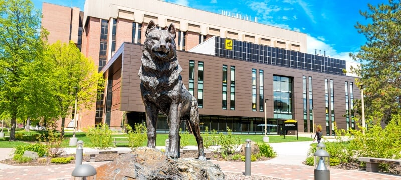 Information Security and Assurance | Security and Assurance | Michigan Tech