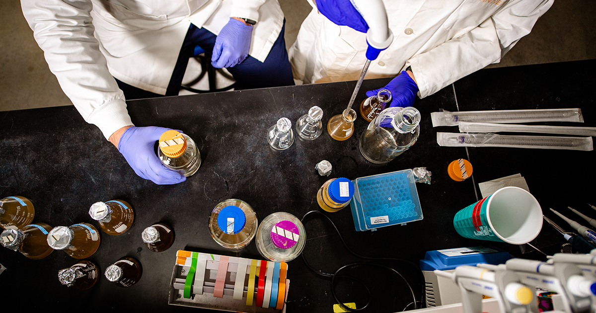 Turning Trash Into Treasure: The Plastic to Protein Powder Solution ...