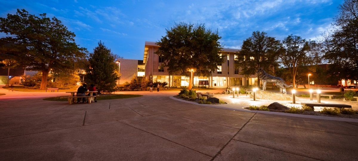 Majors, Degrees, and Programs