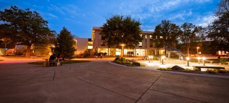 Majors, Degrees, and Programs