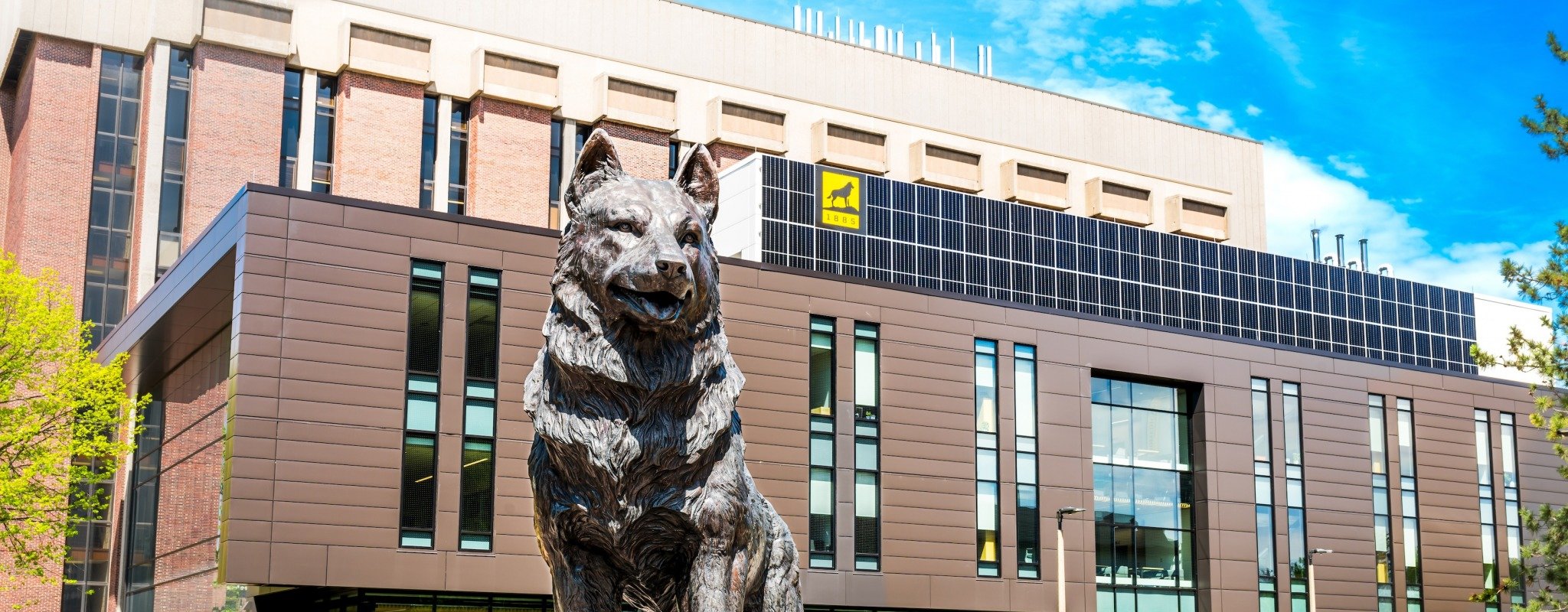 Photo Archive | Michigan Technological University