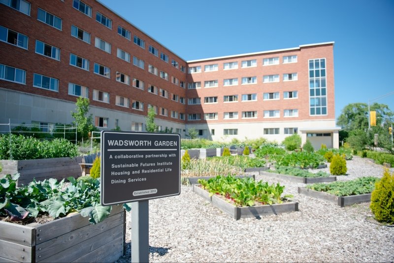 Focus Areas | Sustainability at Michigan Tech | Michigan Tech