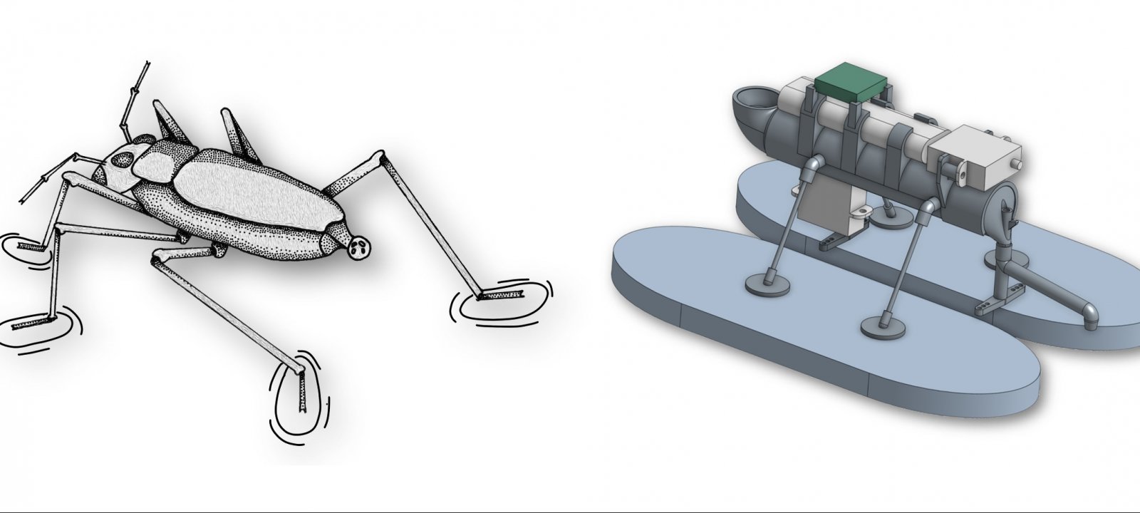 Guest Blog: Why We Built a Bug Robot That Can Surf | Unscripted ...